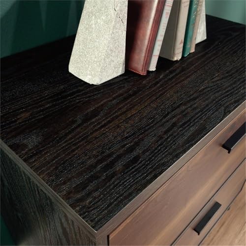 Sauder Canton Lane Engineered Wood/Metal Lateral File in Brew Oak