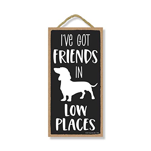Honey Dew Gifts, I’ve Got Friends In Low Places, 5 inches by 10 inches, Dachshund Lover Gift Ideas, Dachshund Signs Home Office Decor, Wiener Dog Signs, Dotson Gifts, Dachshund Accessories