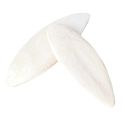TEHAUX Bird Cuttlebone for Parakeets, Natural Cuddle Bone, Chewing Cuttlefish Bone for Sharp Beaks, Natural Birds Calcium Suitable for Parrot Cockatiels Budgie Conures