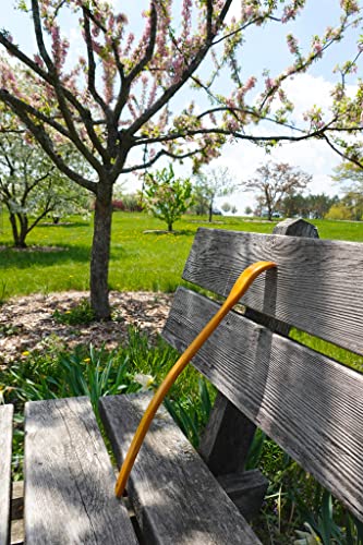 ITCHY-BAN Oversized Wooden Back Scratcher: 18'' Extended Curved Handle for Better Reach, Handcrafted to Perfection, Instant Itch Relief, Gentle on Skin Leave No Scratch Marks (Yellow)