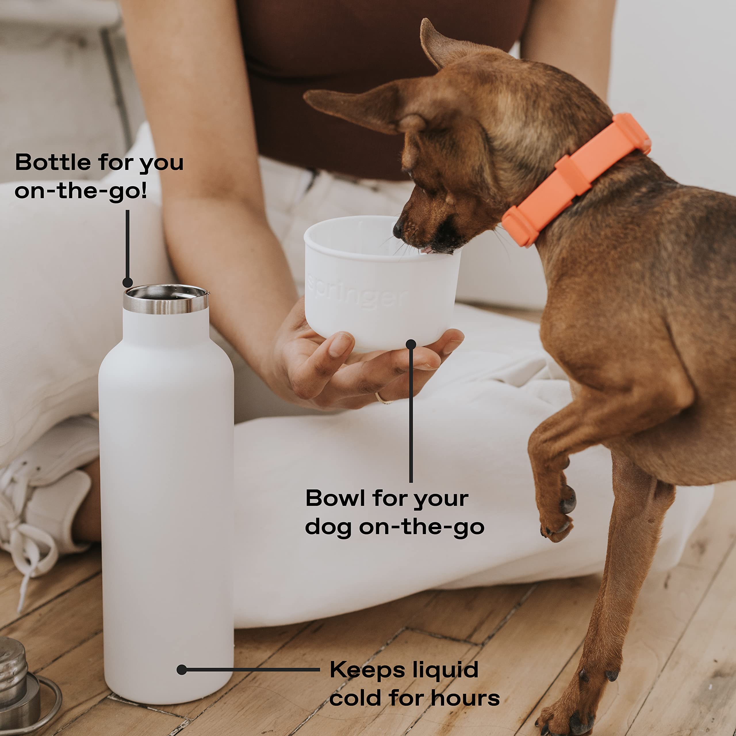 Springer Dog and Me Water Bottle, Stainless Steel Insluated Water Bottle, Keeps Water Cold for 12 Hours (White)