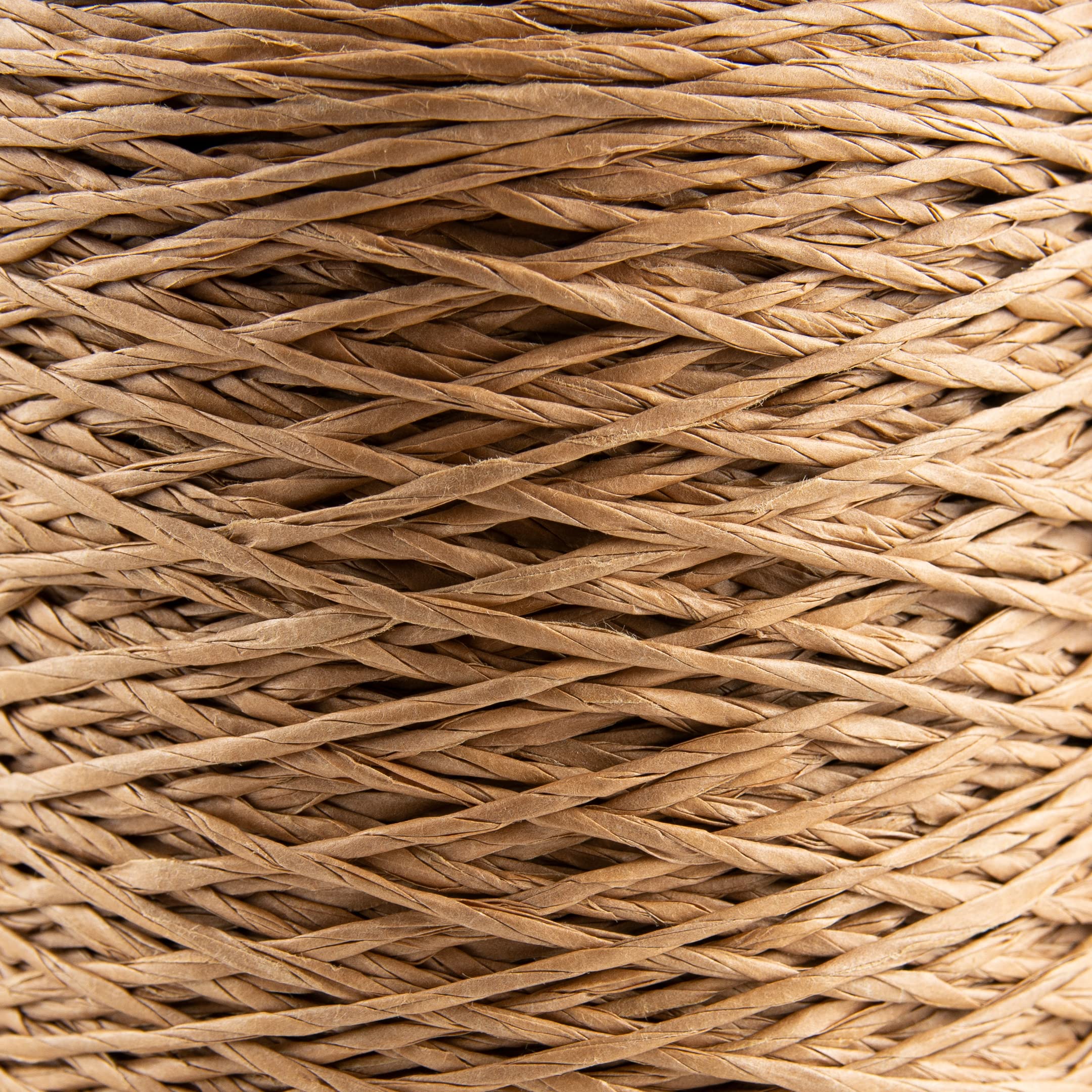 Sensy Premium 274 Yards Raffia Yarn (Latte)
