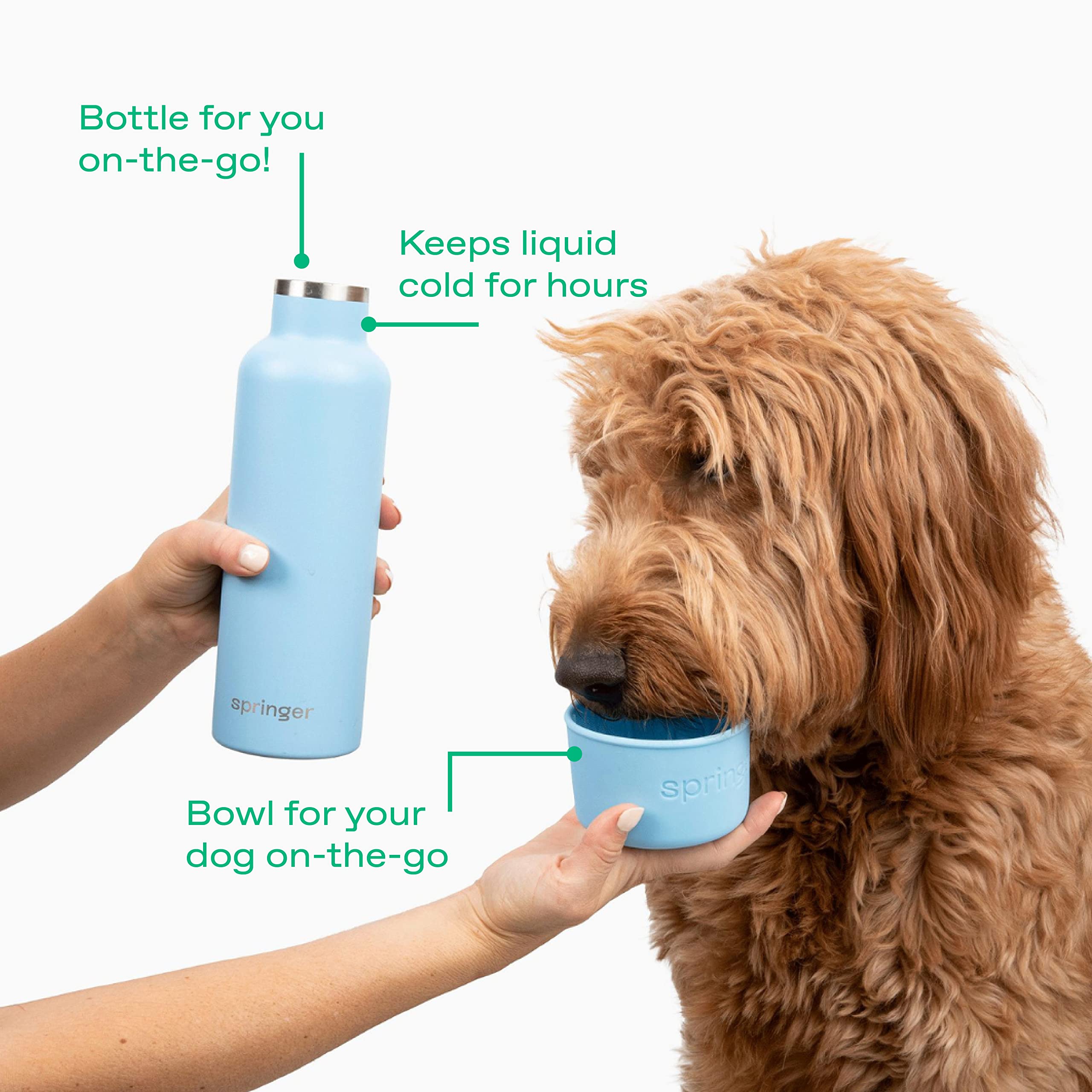 Springer Dog and Me Water Bottle, Stainless Steel Insluated Water Bottle, Keeps Water Cold for 12 Hours (White)