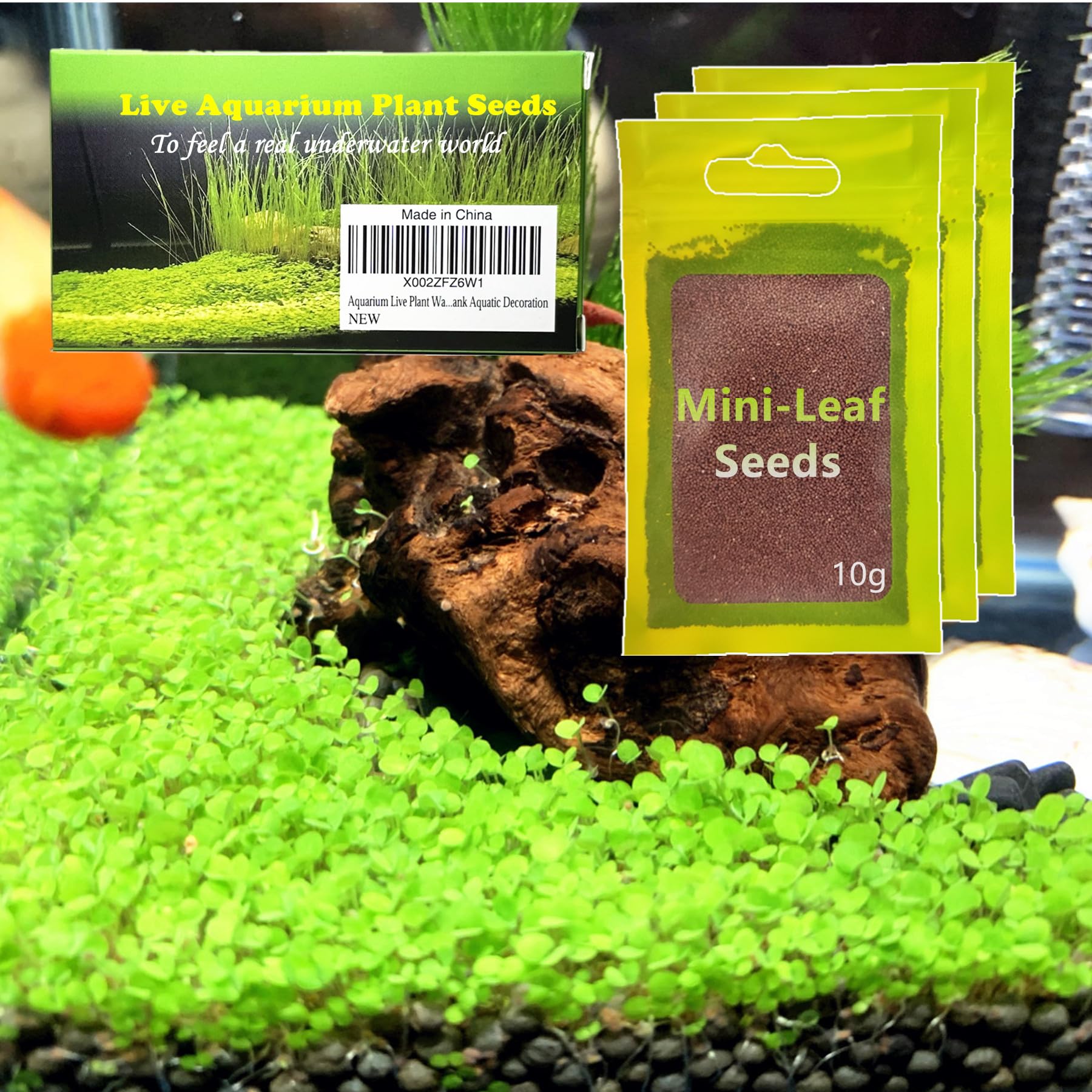30gram Aquarium Plant S e-e-d, 3 Pack no Artificial Plastic Water Grass for Fish Tank Terrarium Carpet Grass Mini-Leaf AAA