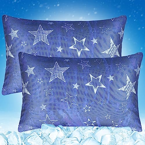 Vamcheer Cooling Pillowcase Queen Size - Double Side Q-Max 0.45 Chill Pillow Covers for Hot Sleeper, 2 Pack Breathable Cold Pillow Case with Hidden Zipper, Anti-Static, Skin-Friendly (20"x30", Blue)