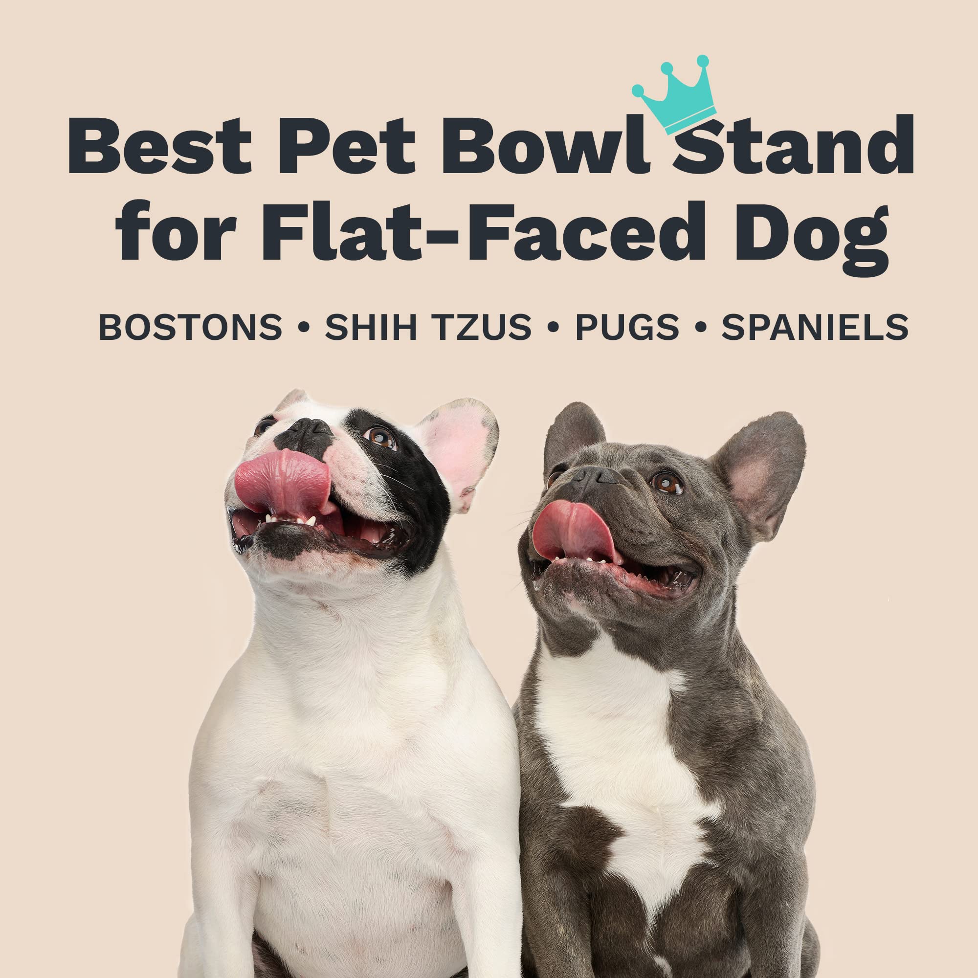 Enhanced Pet Bowl Stand - New Anti-Skid Feature - Dog and Cat Bowl Stand Exclusively for Use with The Corresponing Size Enhanced Pet Bowl (Medium)