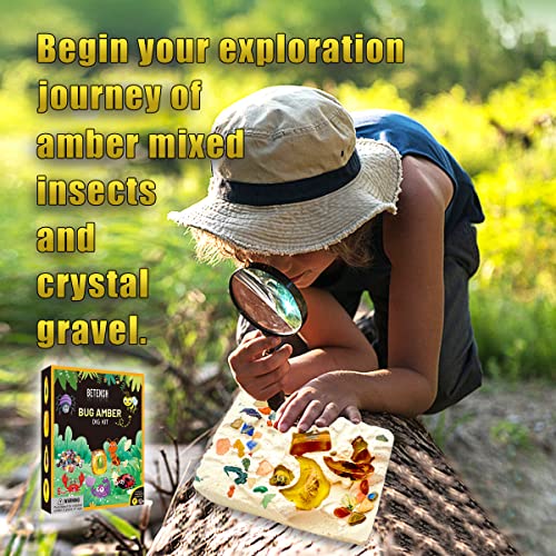 Amber Dig Kit Includes Excavate 12Pcs Insect Ambers and Many Crystal Stones As Fun Geology Science STEM Educational Bugs Toys for Science Educational (Bugs)