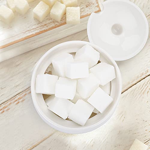 Swetwiny Porcelain Sugar Bowl with Lid and Spoon, Ceramic Salt Storage Jar, White Seasoning Container for Home and Kitchen, 7 Ounces (White)