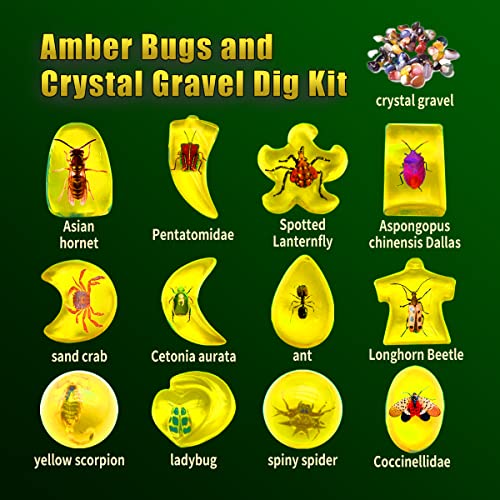 Amber Dig Kit Includes Excavate 12Pcs Insect Ambers and Many Crystal Stones As Fun Geology Science STEM Educational Bugs Toys for Science Educational (Bugs)