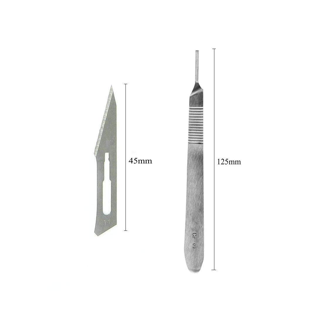KIMRDIABTE 10 Pcs STERILE Scalpel Blades 11# with Scalpel Handle for Dermaplaning Paper Cutting,Sewing,Fruit Crafts, Modelling,Medical,Trimming calluses,Animal Surgical Knife