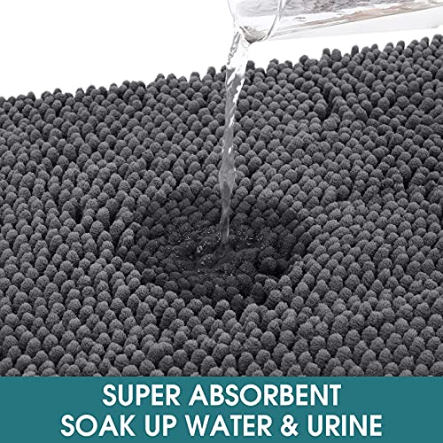HOMEIDEAS Absorbent Dog Rug, Door Mat for Dog & Cat, Microfiber Chenille Dog Mat for Paws, Non Slip Indoor Door Rug, Pet Rug for Crate, Machine Washable Quick Drying Entry Rug, Grey, 24''x36''