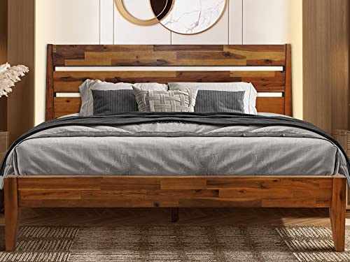Acacia Emery 14 Inch Wood Platform Bed Frame V1 (Chocolate, Queen)