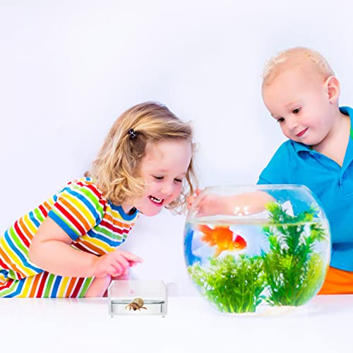 balacoo 2pcs Acrylic Reptile Terrarium Reptile Aquarium Breeding Tank Transparent Reptile Feeding Box Bathing Pool for Frogs Hermit Crabs Lizards Tank
