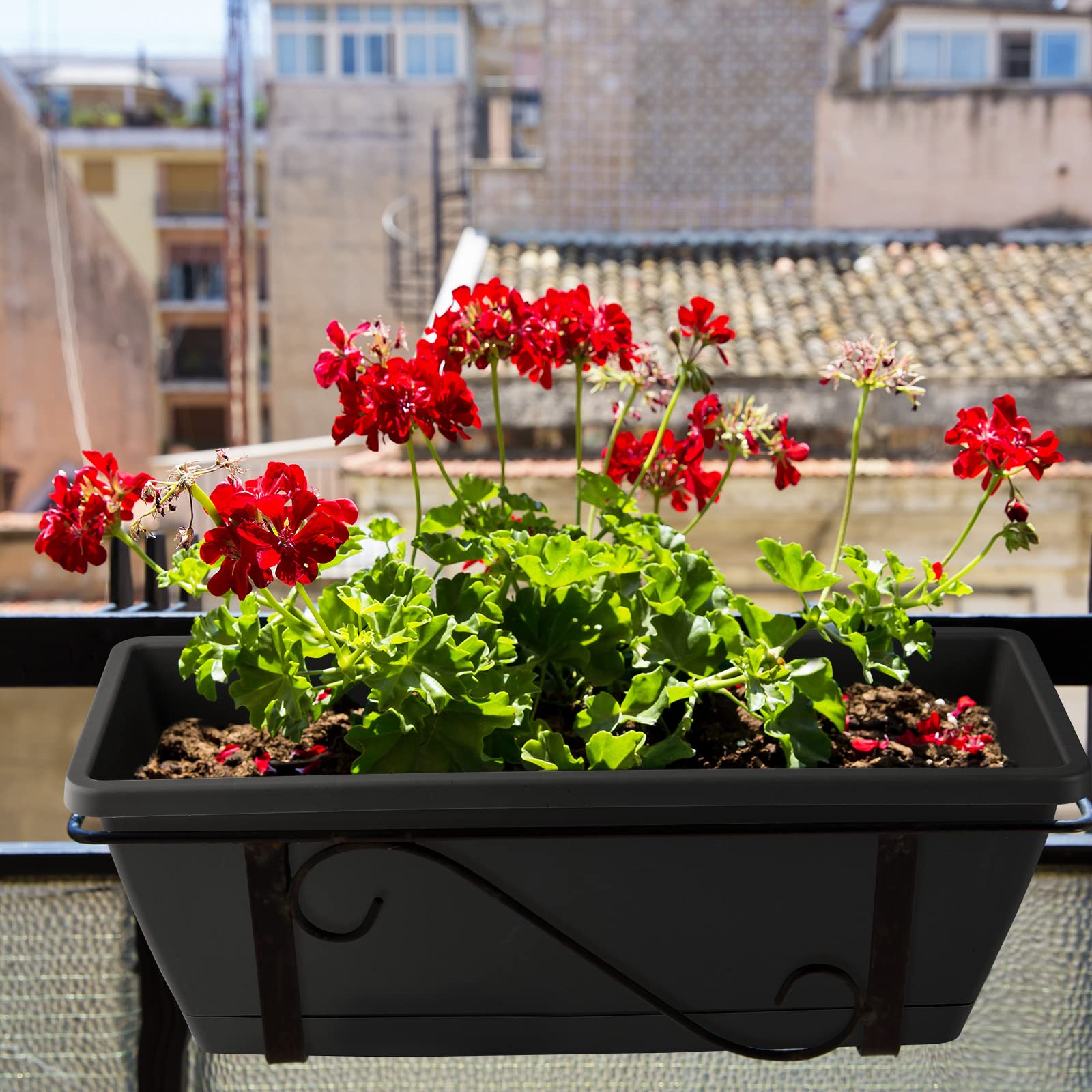 12 Pieces Rectangle Window Box Planter 17 Inch Window Plant Box Herb Planter Plastic Herb Pots for Indoor Plants Large Window Flower Boxes Outdoor with Tray for Garden, Balcony Home Decor (Dark Gray)