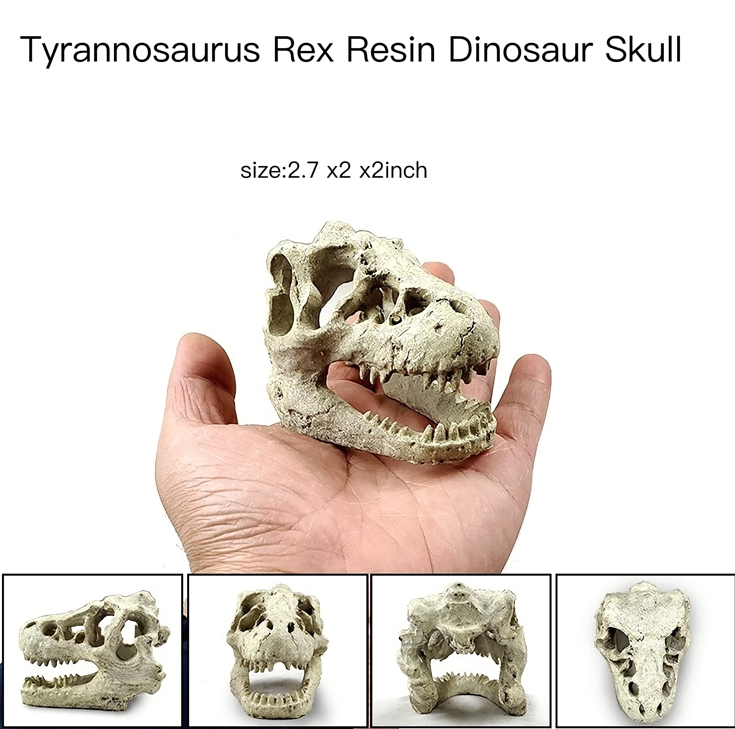 AWXZOM Desert Reptile Decor Skull Fish Tank Decorations Bearded Dragon Accessories Desert Reptile Decor Bearded Dragon Decor, Snake Tank Decor (Cattle+ Dinosaur)