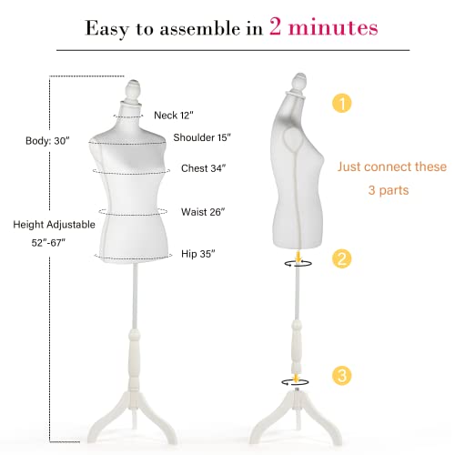 Dress Form Mannequin Torso, Female Sewing Bust Manikin Body, Pinnable Dressmaker Form with Stand for Display, Clothing Design, White