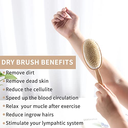 Detachable Dual-Sided Long Handle Shower Bath Brush with Soft and Stiff Bristles Back Scrubber Body Exfoliator Dry Brush Mlifasty