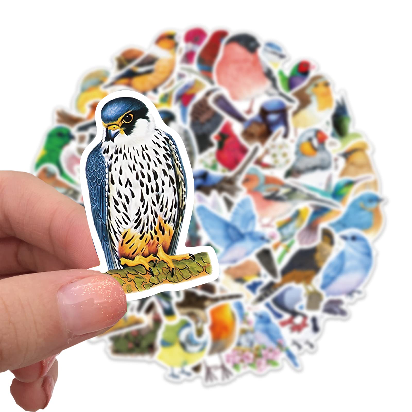 100 PCS Bird Stickers, Vinyl Waterproof Bird Stickers for Water Bottles, Laptop, Notebook, Scrapbook, Luggage, Cell Phone, Skateboard, Helmet