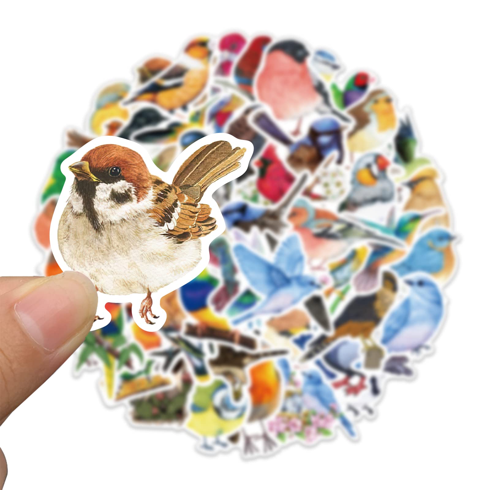 100 PCS Bird Stickers, Vinyl Waterproof Bird Stickers for Water Bottles, Laptop, Notebook, Scrapbook, Luggage, Cell Phone, Skateboard, Helmet