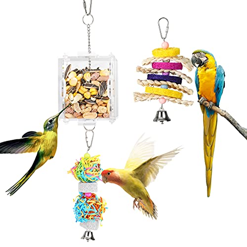 Lewondr Parrot Bird Toys Feeder Chewing Toy, Creative Parrot Shredder Entertaining Toy, Hanging Foraging Box, Transparent View Acrylic Bird Treat Feeder for Cockatiel, Budgie, Parakeet, Anchovies