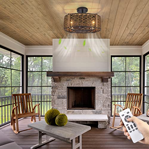 Farmhouse Caged Ceiling Fan with Lights Remote Control, Low Profile Bedroom Ceiling Fans, Industrial 17 Inch Ceiling Fans for Kitchen, Bedroom, Dining Room