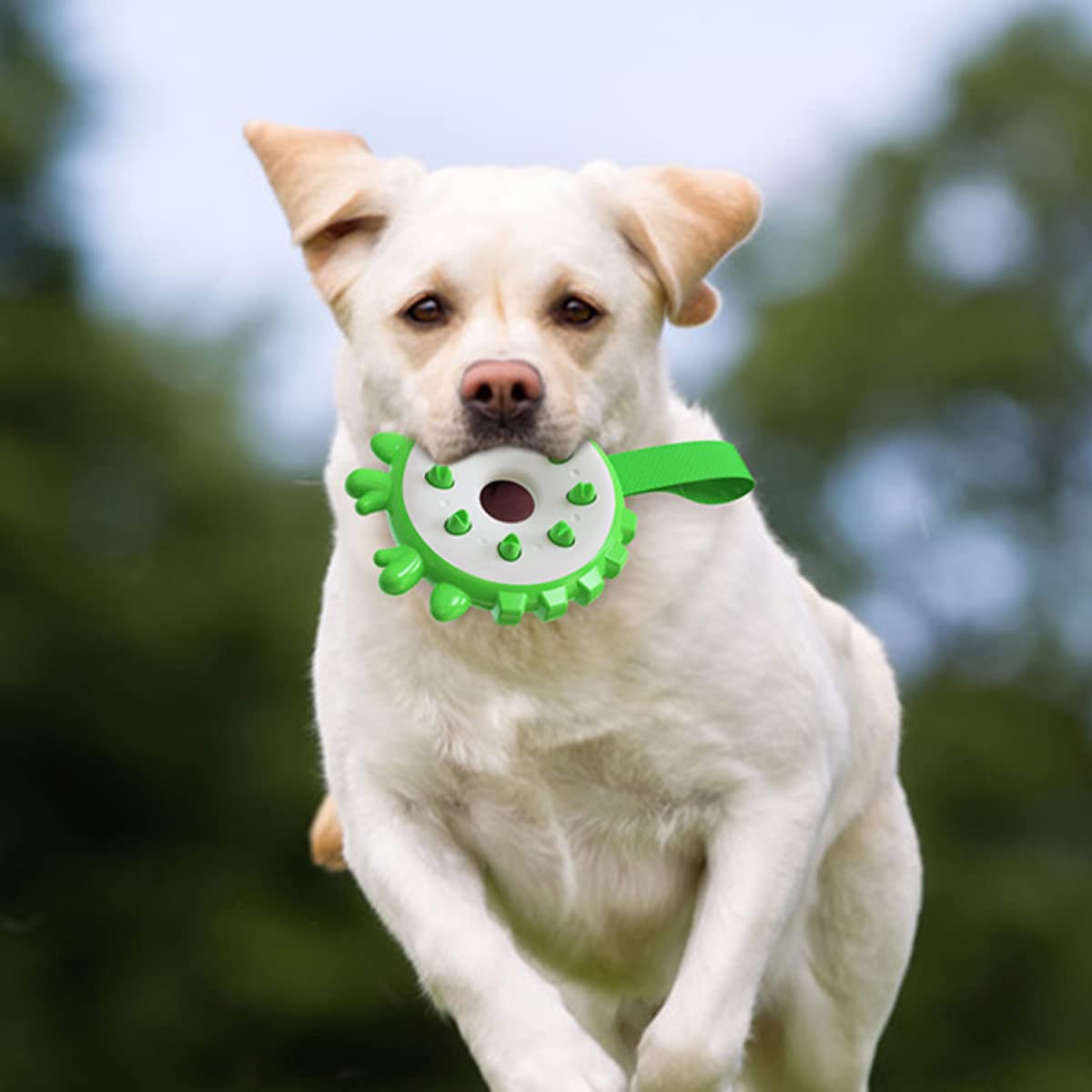 Knowish Dog Chew Toy Crab Shaped Throw and Catch Ring Toys Interactive Play Exercise Durable Rubber Tur of War Small Medium Breeds Pet Toy (Blue)