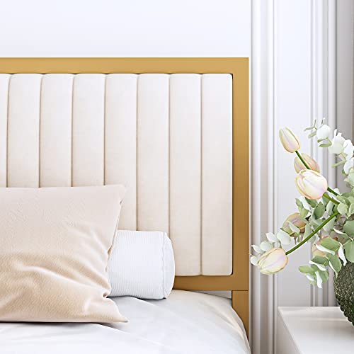 HIFIT King Size Bed Frame, King Bed Frame and Headboard, Heavy Duty Metal Foundation, Upholstered Bed Frame with Velvet Tufted Headboard, Wood Slats Support, No Box Spring Needed, Gold and Ivory White