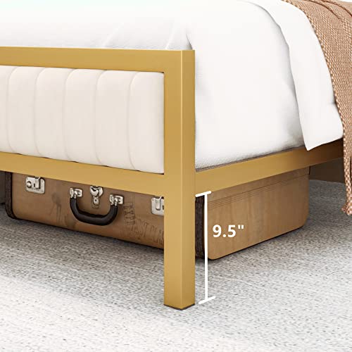 HIFIT King Size Bed Frame, King Bed Frame and Headboard, Heavy Duty Metal Foundation, Upholstered Bed Frame with Velvet Tufted Headboard, Wood Slats Support, No Box Spring Needed, Gold and Ivory White