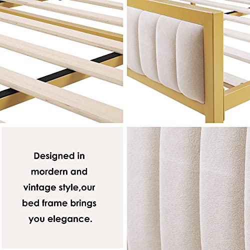 HIFIT King Size Bed Frame, King Bed Frame and Headboard, Heavy Duty Metal Foundation, Upholstered Bed Frame with Velvet Tufted Headboard, Wood Slats Support, No Box Spring Needed, Gold and Ivory White