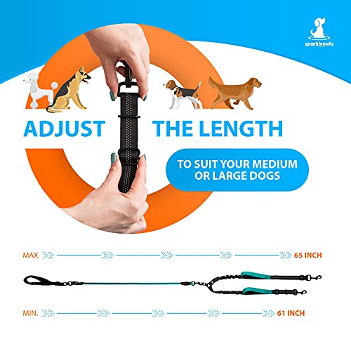 SparklyPets Double Dog Leash for 2 Dogs β Rope Bungee Dual Leash for Medium and Large Dogs with Padded Handles & Tangle Free