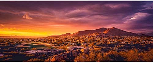 AWERT 36x18 inches Sun and Desert Terrarium Background Mountain Oasis Gobi Reptile Habitat Background Polyester Fish Tank Background