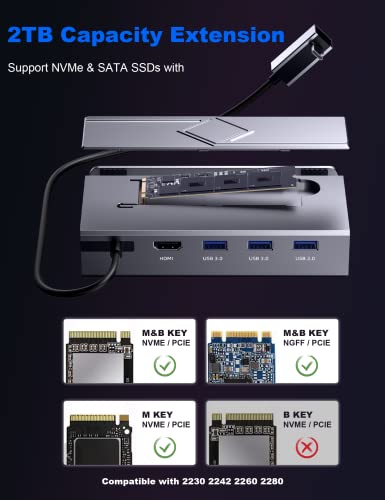 YYDSTDK M.2 Steam Deck Dock, Steam Deck Docking Station with 2TB M.2 Card Slot, HDMI 2.0 4k@60Hz, Gigabit Ethernet, 2 USB 3.0 Port, USB 2.0 Port and USB-C PD Port, Accessories for Stream Deck
