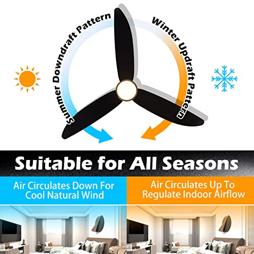 LEEAGLEGRY 52 Inch Black Ceiling Fan with Lights and Remote, Black and Gold Ceiling Fans with Dimmable LED Light, 3 Blade Modern Fan, Quiet DC Motor Tri-Color for Bedroom Living Dining Room