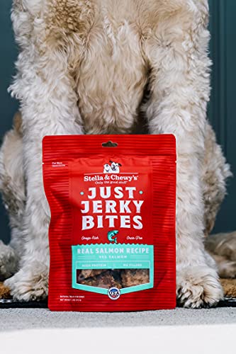 Stella & Chewy's Just Jerky Bites Real Beef Recipe Dog Treats, 6 oz. Bag