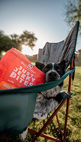 Stella & Chewy's Just Jerky Bites Real Beef Recipe Dog Treats, 6 oz. Bag