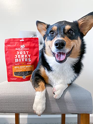 Stella & Chewy's Just Jerky Bites Real Beef Recipe Dog Treats, 6 oz. Bag