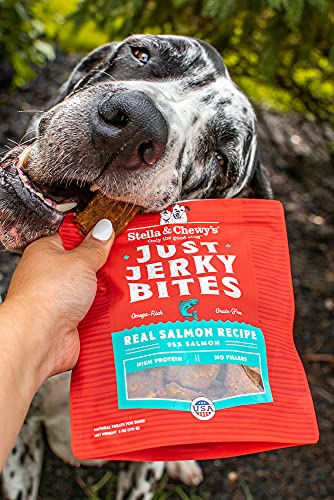 Stella & Chewy's Just Jerky Bites Real Beef Recipe Dog Treats, 6 oz. Bag
