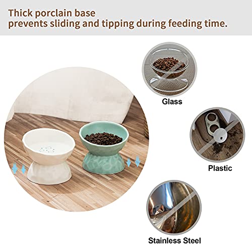 TAMAYKIM Tilted Ceramic Raised Cat Bowls, 8 OZ Food and Water Bowl Set for Cats, 5 inch Porcelain Elevated Stress Free Feeding Pet Dish, Dishwasher and Microwave Safe, 2 Pack (White & Mint Green)