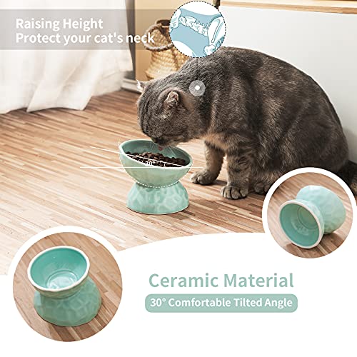 TAMAYKIM Tilted Ceramic Raised Cat Bowls, 8 OZ Food and Water Bowl Set for Cats, 5 inch Porcelain Elevated Stress Free Feeding Pet Dish, Dishwasher and Microwave Safe, 2 Pack (White & Mint Green)
