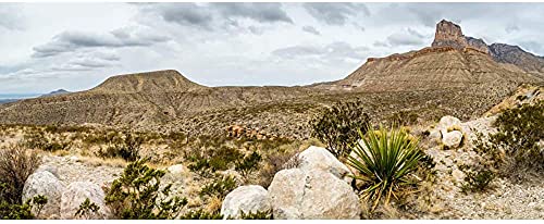 AWERT 48x18 inches Vinyl Terrarium Background Mountain Rock Oasis Gobi Reptile Habitat Background