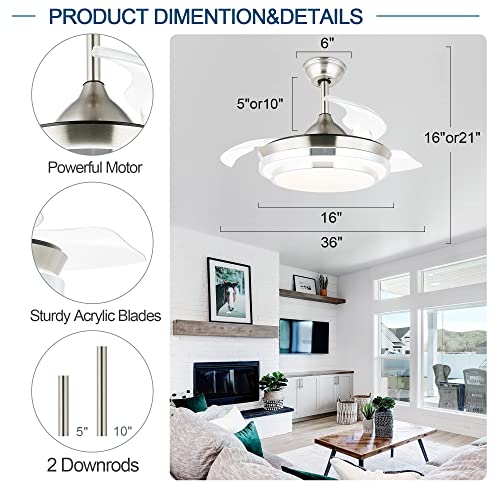 FebFurniture 36" Retractable Ceiling Fan with Lights, Modern Ceiling Fan with Retractable Blades, Silent Motor, 3 Light Color Change, Brushed Nickel