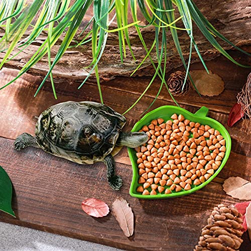 Reptile Feeding Bowl, 4pcs Leaf Reptile Water Food Feeder Bowl Worm Dish, Reptile Feeding Tongs Long Tweezers Cricket Clamp Bug Scooper Feeder Tool for Tortoise Snake Lizard Gecko Bearded Dragon
