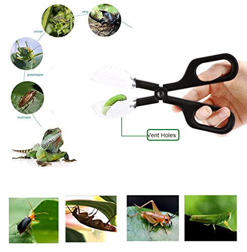 Reptile Feeding Bowl, 4pcs Leaf Reptile Water Food Feeder Bowl Worm Dish, Reptile Feeding Tongs Long Tweezers Cricket Clamp Bug Scooper Feeder Tool for Tortoise Snake Lizard Gecko Bearded Dragon