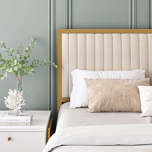 HIFIT Queen Size Bed Frame, Queen Bed Frame with Headboard, Heavy Duty Metal Foundation, Upholstered Bed Frame with Velvet Tufted Headboard, Wood Slat Support, No Box Spring Needed, Gold & Ivory White