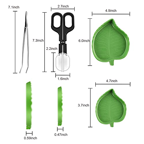 Reptile Feeding Bowl, 4pcs Leaf Reptile Water Food Feeder Bowl Worm Dish, Reptile Feeding Tongs Long Tweezers Cricket Clamp Bug Scooper Feeder Tool for Tortoise Snake Lizard Gecko Bearded Dragon