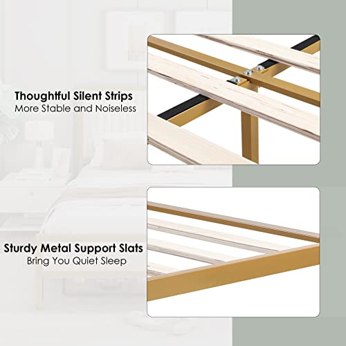 HIFIT Queen Size Bed Frame, Queen Bed Frame with Headboard, Heavy Duty Metal Foundation, Upholstered Bed Frame with Velvet Tufted Headboard, Wood Slat Support, No Box Spring Needed, Gold & Ivory White