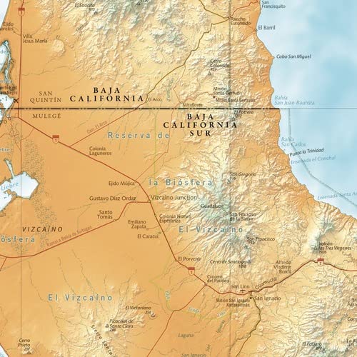 Benchmark Maps: Baja California Peninsula Wall Map - 40 x 26.25 inches