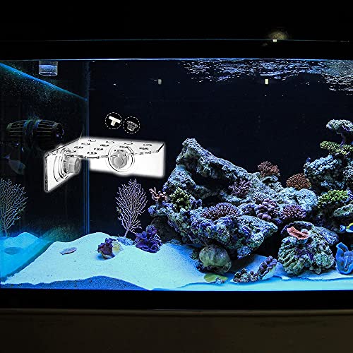 13 Plug Holes Coral Frag Rack Clear Acrylic Coral Holder Aquarium Fish Tank Button Coral Reef Broken Frame Enhanced Suction Cup (2 Pack)