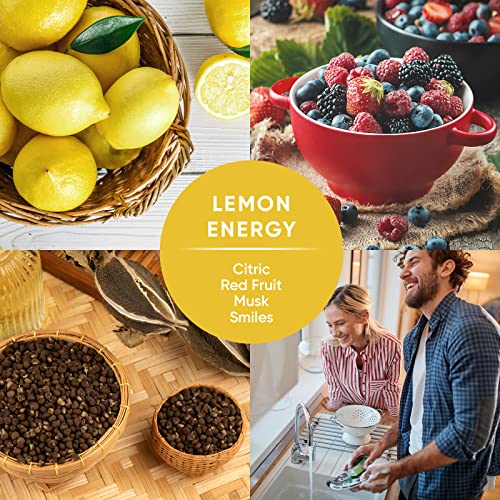 PINALEN Dishwashing Liquid Lemon Energy, 25.3 fl. oz., 1.78 pounds (2412)