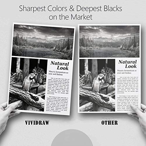 VIVIDRAW Compatible Ink Cartridge Replacement for HP 02 Work for HP PhotoSmart C6150 C6180 C7150 C7180 C7280 D7260 D7360 D7160 D7460 C8180 C6100 C5100 D7363 C5150 3110 3210 8250 8230 (3BLACK)